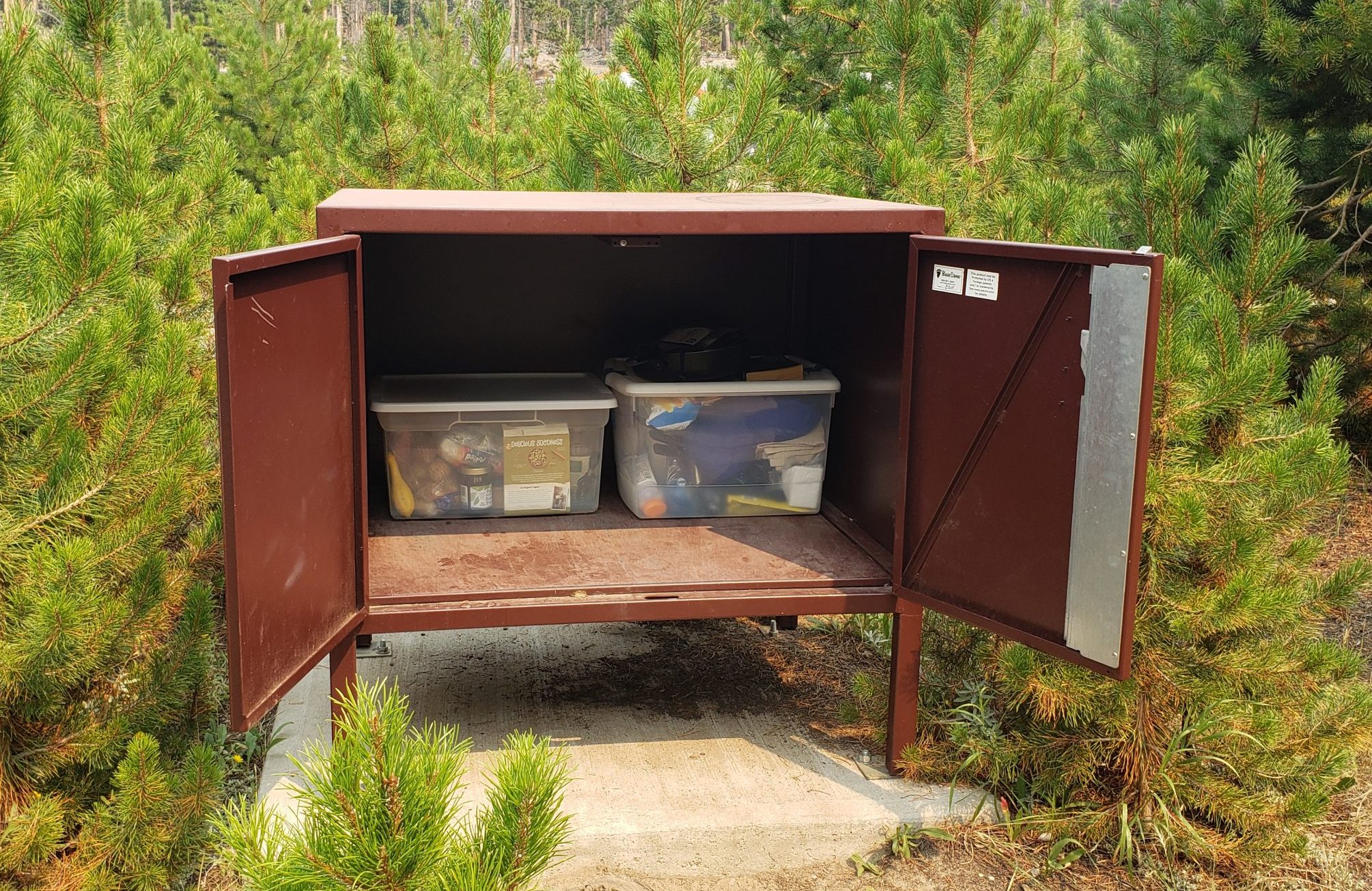 My First Camping Adventure – Chai & Scribbles